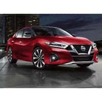 Pricing and More Info on 2023 Nissan Maxima | Kelly Automotive Group