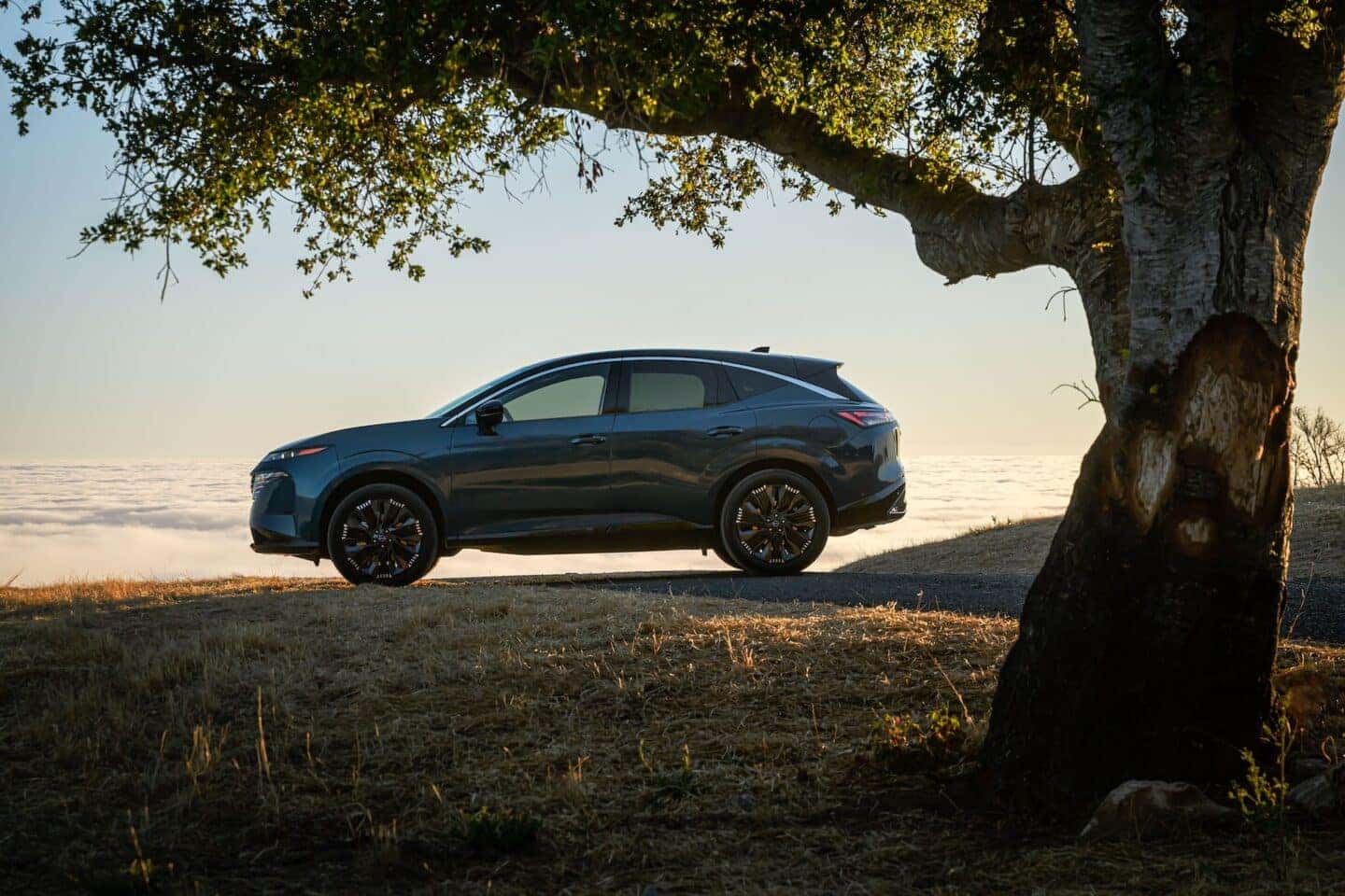 The New 2025 Nissan Murano Brings Style And Luxury To The Class