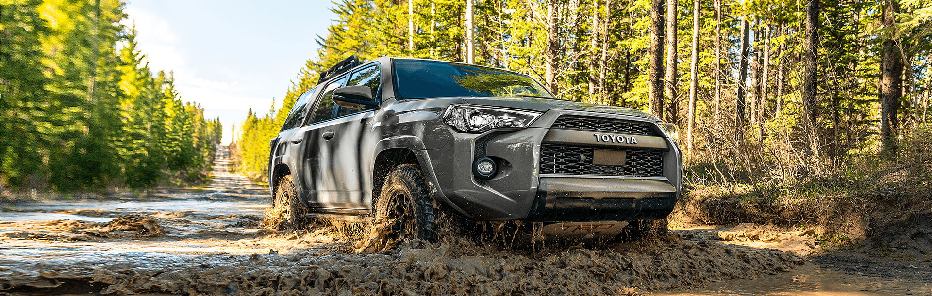 Prince Albert Toyota | Toyota Dealer in Prince Albert, SK