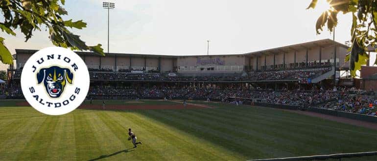 Jr. Saltdogs Baseball | Schworer Volkswagen