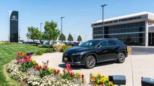 Lexus Dealerships Near Me | Stevinson Automotive near Denver